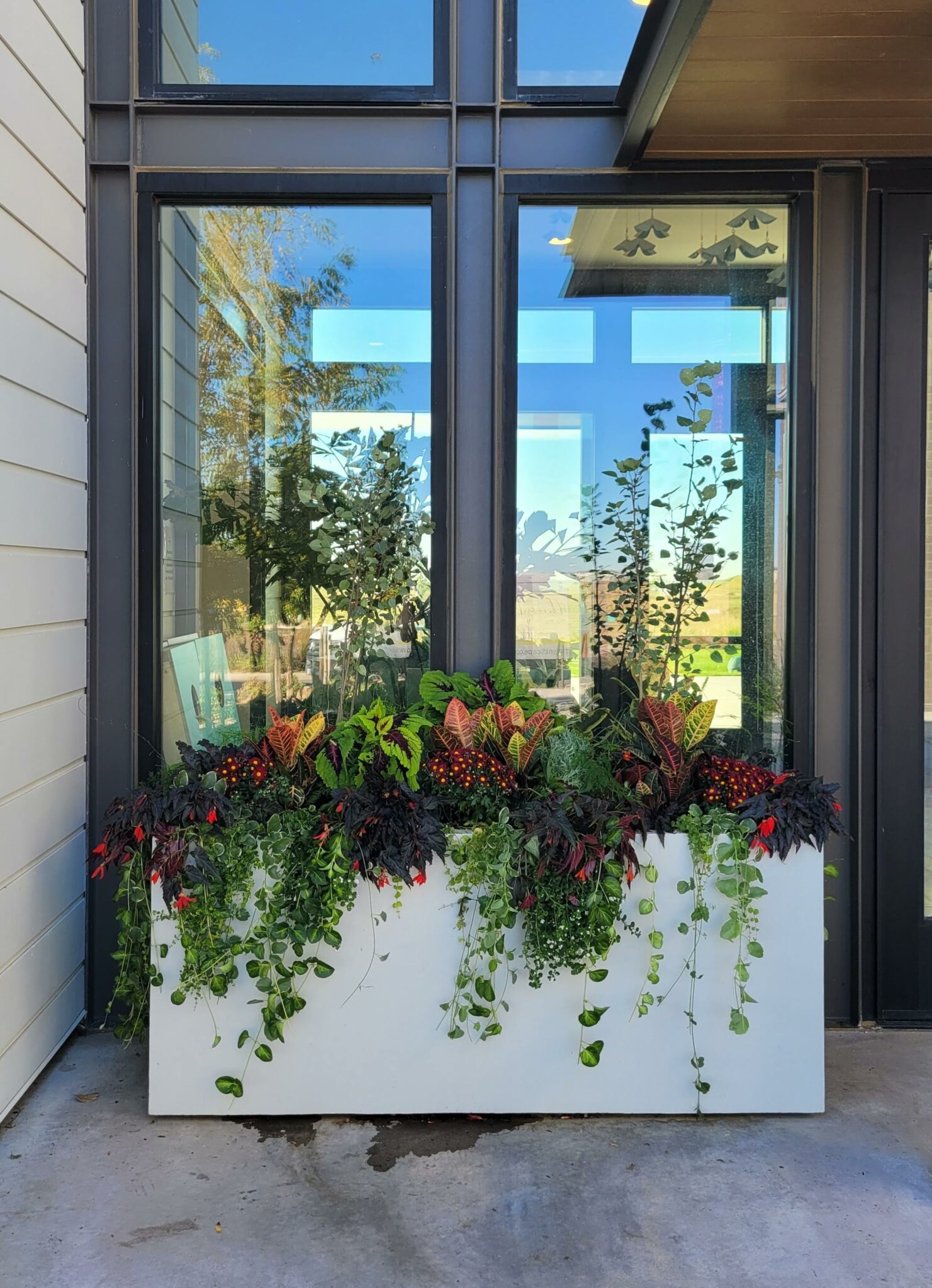 Green Thumb Plantscape | Interior & Exterior Plantscapes For Your Office