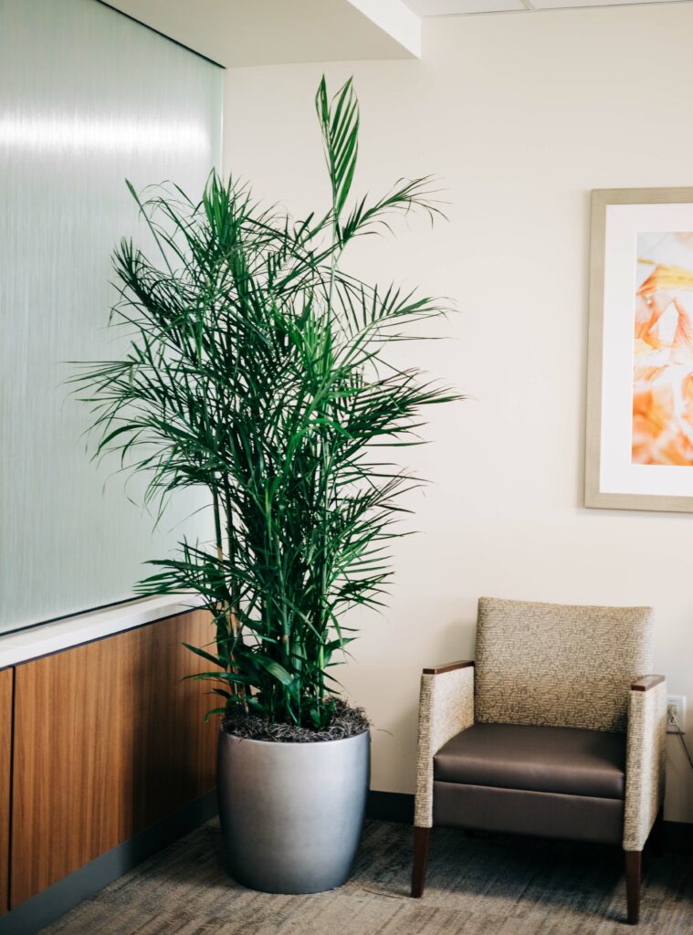 Green Thumb Plantscape | Interior & Exterior Plantscapes For Your Office