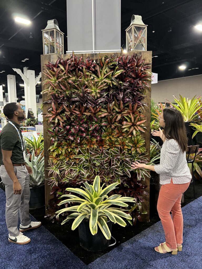 Green Thumb Plantscape | Interior & Exterior Plantscapes For Your Office