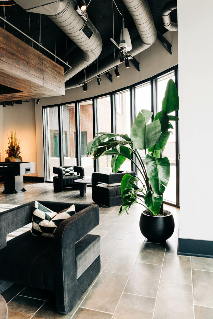 Green Thumb Plantscape | Interior & Exterior Plantscapes For Your Office