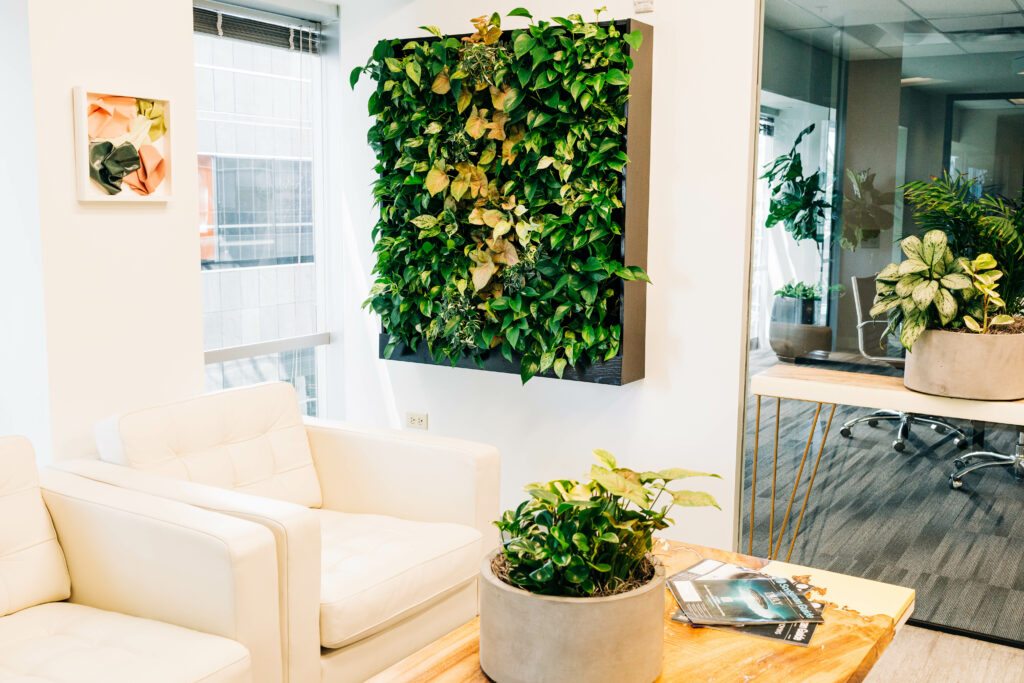Green Thumb Plantscape | Interior & Exterior Plantscapes For Your Office